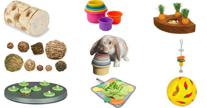 Best Cardboard Rabbit Toys of 2024 - Bunnyproof