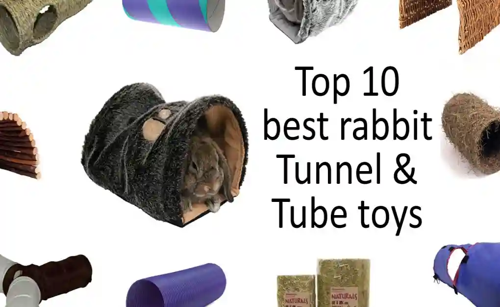 Best Rabbit Tunnel Toys of 2025 - Bunnyproof